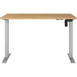 Germania Schreibtisch &raquo;Boras&laquo; Breite 120/140/160/180 cm, Metallgestell, elektrisch h&ouml;henverstellbar silber B/H/T: 120cm x 120cm x 80cm, Gestellfarbe 