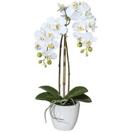 Creativ green Kunstpflanze &raquo;Orchidee Phalaenopsis&laquo; im Keramiktopf wei&szlig; Kunststoff B/H/L: 43cm, 1 Stk.