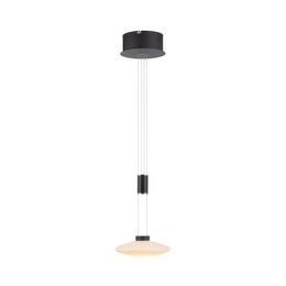 Paul Neuhaus Pendelleuchte &raquo;LAUTADA&laquo; LED-Board 1 Stk. Warmwei&szlig; LED, dimmbar, Simply Dim, Memory, nach Trennung vom Netz schwarz 1, &Oslash; 23cm, 1 Stk.