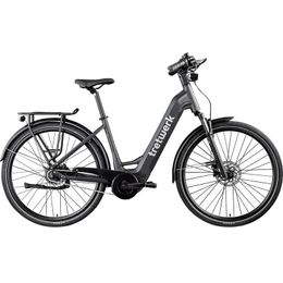 Tretwerk Unisex &raquo;Amber Nexus&laquo; 8 Gang Nabenschaltung Mittelmotor 250 W Amber Nexus E Bike Damen 28 Zoll Elektrofahrrad 155 - 185cm grau 48cm, 28 Zoll (