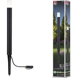 Paulmann LED Pollerleuchte &raquo;Flarea&laquo; LED-Modul 1 Stk. Warmwei&szlig; LED-Modul schwarz 1, &Oslash; 4,5cm H: 60cm, 1 Stk.