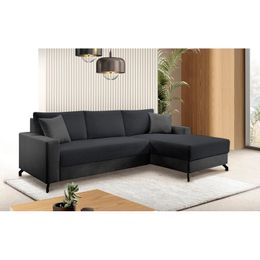 exxpo - sofa fashion Ecksofa &raquo;Quattro schlicht & zeitlos, bequem, L-Form, B/T: 247/162 cm&laquo; wahlw. Bettfunktion, Bettkasten. Korpus Microfaser, Sitz 