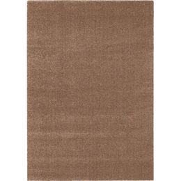 OCI DIE TEPPICHMARKE Teppich &raquo;Louvre Melange&laquo; rechteckig 13 mm H&ouml;he Fris&eacute; Kurzflor, robust, Wohnzimmer braun Kunstfaser B : 65cm 1 Stk., 13mm, L: 