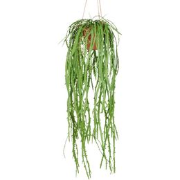Creativ green Kunstpflanze &raquo;H&auml;ngende Rhipsalis crispata&laquo; mit zahlreichen Ranken Kunststoff B/H/L: 80cm, 1 Stk.