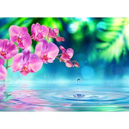 papermoon Fototapete &raquo;Zen Orchid and Droplets&laquo; glatt bunt Vlies B/L: 3,5m x 2,6m, Bahnen: 7 Stk.