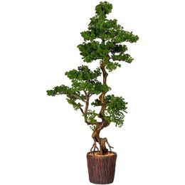 OTTO home Kunstbonsai &raquo;Perreux&laquo; im Magnesiatopf gr&uuml;n Kunststoff B/H/L: 67cm x 155cm, 1 Stk.