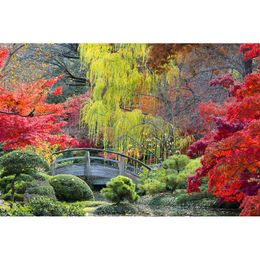papermoon Fototapete &raquo;GARTEN-NATUR WALD B&Auml;UME HERBSTLANDSCHAFT BLUMEN SEE XXL&laquo; bunt Vlies B/L: 4,5m x 2,8m, Bahnen: 9 Stk.
