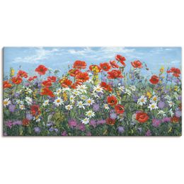 Artland Leinwandbild &raquo;Almwiese&laquo; Blumenwiese 1 Stk. tlg. auf Holzrahmen gespannt bunt Leinwand B/H/T: 100cm x 50cm, Leinwandbild Blumenwiese Querformat, 1 Stk.