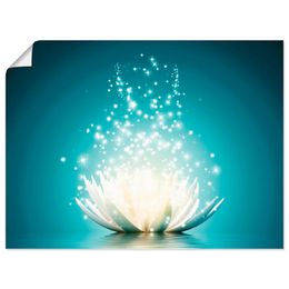 Artland Wandbild &raquo;Magie der Lotus-Blume&laquo; Blumen 1 Stk. tlg. als Alubild, Leinwandbild, Poster in verschied. Gr&ouml;&szlig;en blau B/H/T: 60cm x 45cm, Poster Blumen 
