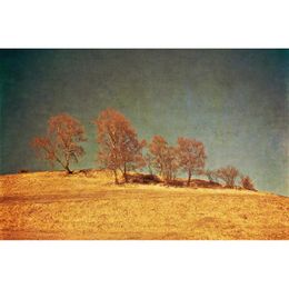 papermoon Fototapete &raquo;B&Auml;UME-VINTAGE NATUR LANDSCHAFT HERBST WALD WANDBILD XXL&laquo; bunt Vlies B/L: 4,5m x 2,8m, Bahnen: 9 Stk.