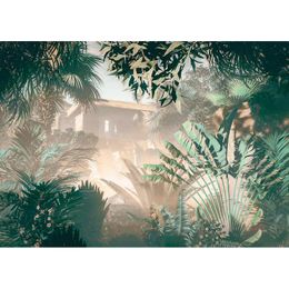 Komar Vliestapete &raquo;Digitaldruck Vlies - Manoa - Gr&ouml;&szlig;e 350 x 250 cm&laquo; bedruckt glatt Wohnzimmer, Schlafzimmer gr&uuml;n Vlies B/L: 350m x 250m, Rollen: 1