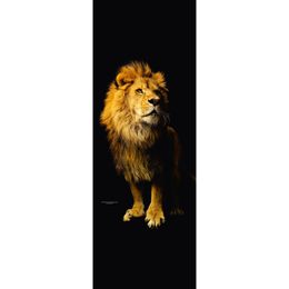 ARCHITECTS PAPER Fototapete &raquo;Lion&laquo; Tapete L&ouml;we Panel Schwarz 1,00m x 2,80m braun Vlies B/L: 1m x 2,8m