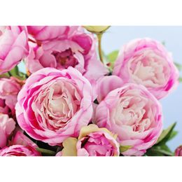 papermoon Fototapete &raquo;Pink Peony Flowers&laquo; glatt bunt Vlies B/L: 5m x 2,8m, Bahnen: 10 Stk.