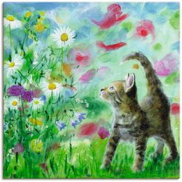 Artland Wandbild &raquo;Sommerwiese mit K&auml;tzchen&laquo; Haustiere 1 Stk. tlg. als Leinwandbild, Poster in verschied. Gr&ouml;&szlig;en gr&uuml;n Leinwand B/H/T: 40cm x 40cm, Leinwandbild