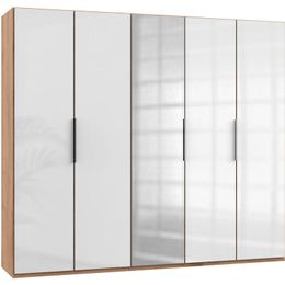 wimex Kleiderschrank &raquo;Level by fresh to go&laquo; mit Glas- und Spiegelt&uuml;ren braun B/H/T: 250cm x 216cm x 58cm, T&uuml;ren: 5 Stk.