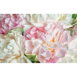 papermoon Fototapete &raquo;Blooming Peonies&laquo; glatt bunt Vlies B/L: 3m x 2,23m, Bahnen: 6 Stk.