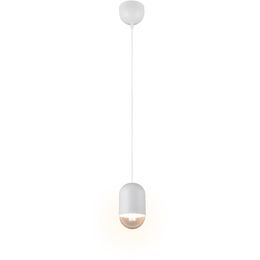 REALITY LEUCHTEN Pendelleuchte &raquo;NARA, H&auml;ngelampe inkl. Leuchtmittel 1x E27 806 Lumen 2700K warmwei&szlig;&laquo; E27 2 Stk. Warmwei&szlig; H&auml;ngeleuchte in schlichtem 