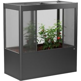 BioHort Gew&auml;chshaus &raquo;Florentina Gr. 2x1 MAXI, verschiedene Farben&laquo; Kompaktes Gew&auml;chshaus f&uuml;r hochwachsende Pflanzen B/H/T: 201,6cm x 213,4cm x 103,1cm