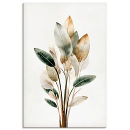 Artland Wandbild &raquo;Strelizie&laquo; Bl&auml;tterbilder 1 Stk. tlg. als Alubild, Leinwandbild, Poster, Wandaufkleber in verschied. Gr&ouml;&szlig;en Leinwand B/H/T: 60cm x 90cm, 