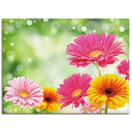 Artland Leinwandbild &raquo;Nat&uuml;rliche Romantik - Gerberas&laquo; Blumen 1 Stk. tlg. auf Holzrahmen gespannt bunt Leinwand B/H/T: 40cm x 30cm, Leinwandbild Blumen 