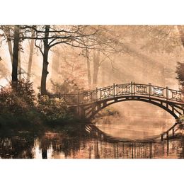 Livingwalls living walls Fototapete &raquo;Designwalls Park Bridge 2&laquo; glatt Vlies, Wand, Schr&auml;ge, Decke braun Vlies B/L: 3,5m x 2,55m