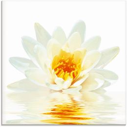Artland Glasbild &raquo;Lotusblume schwimmt im Wasser&laquo; Blumen 1 Stk. tlg. in verschiedenen Gr&ouml;&szlig;en wei&szlig; B/H/T: 30cm x 30cm, Glasbild Blumen, 1 Stk.