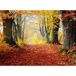 papermoon Fototapete &raquo;Autumn Forest Path&laquo; glatt bunt Vlies B/L: 2m x 1,49m, Bahnen: 4 Stk.