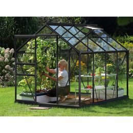 Vitavia Gew&auml;chshaus &raquo;Venus 5000&laquo; Alu-Profile, 3 mm Sicherheitsglas schwarz B/H/T: 195cm x 197cm x 257cm