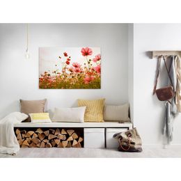A.S. Cr&eacute;ation Leinwandbild &raquo;Flower Meadow&laquo; Blumen Kunst 1 Stk. tlg. Mohnblume Keilrahmen Blumenwiese Leinwand-Bild Wohnzimmer modern Wand bunt Holz, Stahl B/H/T: 