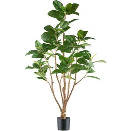 Creativ green Kunstbaum &raquo;Ficus moclame&laquo; mit detailgetreuem Blattwerk gr&uuml;n Kunststoff B/H/L: 115cm, 1 Stk.