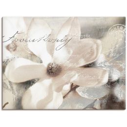 Artland Wandbild &raquo;Magnolie_Detail&laquo; Blumenbilder 1 Stk. tlg. als Alubild, Leinwandbild, Poster in verschied. Gr&ouml;&szlig;en wei&szlig; B/H/T: 40cm x 30cm, Leinwandbild 