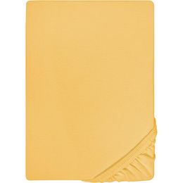 Biberna Spannbettlaken &raquo;THEA Baumwoll-Jersey mit Elasthan, 160 g/m&sup2;&laquo; Bettlaken f&uuml;r Matratzen bis 25 cm H&ouml;he, pflegeleicht, b&uuml;gelfrei gelb Jersey-Elasthan, 