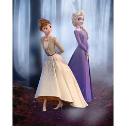 Komar Bild &raquo;Frozen Wood Walk&laquo; Disney 1 Stk. tlg. Wandbild zur Dekoration im Kinderzimmer - ohne Rahmen bunt Holz, Papier B/H/T: 40cm x 50cm, Disney, 1 Stk.