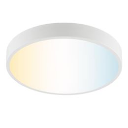 Brilliant LED Deckenleuchte &raquo;Slimline&laquo; LED-Modul 1 Stk. warmwei&szlig; - kaltwei&szlig; &Oslash; 39 cm, 10,1 W, 2230 lm, CCT 3000-6500 K, dimmbar, wei&szlig; 1, &Oslash; 39cm H: 5cm, 1 Stk.
