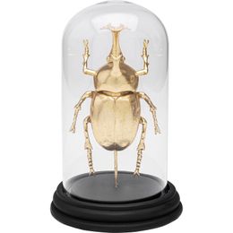 KARE Dekoobjekt &raquo;Stag Beetle 20cm&laquo; Polyresin B/H/T: 12,5cm x 20cm x 12,5cm