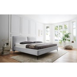 Meise M&ouml;bel meise.m&ouml;bel Polsterbett &raquo;Infinity erh&auml;ltlich in verschiedenen Farben und Breiten&laquo; mit schwarzen Metallf&uuml;&szlig;en grau Liegefl&auml;che L&auml;nge B: 200cm x 200cm, 