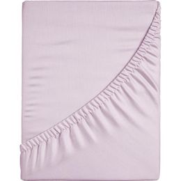 CASATEX Spannbettlaken &raquo;Jersey-Elasthan&laquo; mit Elasthan lila Jersey, Obermaterial: 96% Baumwolle, 4% Elasthan 1 Stk., Jersey, 180-200x200-220 25cm