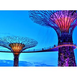 papermoon Fototapete &raquo;Singapore Bay Supertrees&laquo; glatt bunt Vlies B/L: 1,5m x 1,11m, Bahnen: 7 Stk.