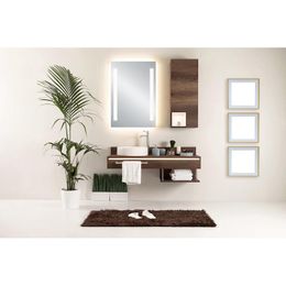 Mirrors and More LED-Lichtspiegel &raquo;Lina&laquo; Leuchtspiegel, integriertes Backlight silber Glas B/H/T: 50cm x 70cm x 3,5cm, uni