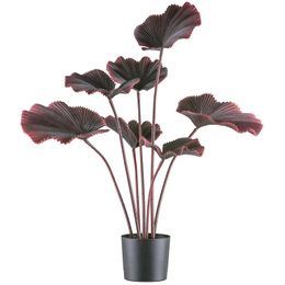 Creativ green Kunstpalme &raquo;Strahlenpalme&laquo; in trendiger Farbgebung rot Kunststoff B/H/L: 100cm, 1 Stk.