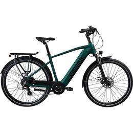 Tretwerk Unisex &raquo;Onyx&laquo; 8 Gang Shimano Altus M310 Schaltwerk Kettenschaltung Heckmotor 250 W gr&uuml;n 52cm, 28 Zoll (71,12cm)