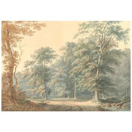 SUPERFRESCO EASY Fototapete &raquo;Valley&laquo; glatt 280x400 cm gr&uuml;n Vlies B/L: 4m x 2,8m