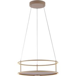 Paul Neuhaus LED Pendelleuchte &raquo;CONNI&laquo; LED-Board 1 Stk. Warmwei&szlig; Touchdimmer, separat schaltbar, Memoryfunktion, Deko-Ablagefl&auml;che beige 2, &Oslash; 50cm H: 60cm, 1 Stk.