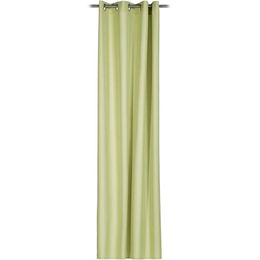 G&ouml;zze Vorhang &raquo;Linus &Ouml;senschal&laquo; &Ouml;sen 1 Stk. tlg. HxB: 245x140, Uni Panamagewebe gr&uuml;n Polyester 245cm, &Ouml;sen, 140cm