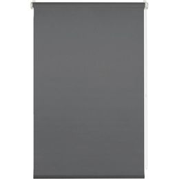 Gardinia Seitenzugrollo &raquo;Uni Klemmrollo&laquo; Lichtschutz Sichtschutz mit Bohren/ohne Bohren freih&auml;ngend Schraubmontage m&ouml;glich grau Polyester 150cm, 