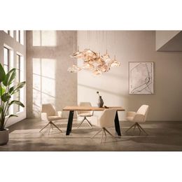 Home Affaire Esstisch &raquo;Tristan&laquo; B/H/T: 220cm x 77cm x 100cm, Tristan Dust 220 V Gestell S