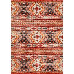 ANDIAMO Teppich &raquo;Colore&laquo; rechteckig 6 mm H&ouml;he verschieden Designs, In- und Outdoor geeignet, Wohnzimmer bunt Polypropylen (PP) B : 160cm 1 Stk., 6mm, L: 230cm