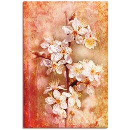 Artland Wandbild &raquo;Kirschbl&uuml;ten&laquo; Blumen 1 Stk. tlg. als Leinwandbild, Poster in verschied. Gr&ouml;&szlig;en orange Leinwand B/H/T: 40cm x 60cm, Leinwandbild Blumen 