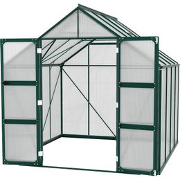 Vitavia Gew&auml;chshaus &raquo;Domus 6700&laquo; mit Doppelschwingt&uuml;ren und bodentiefer T&uuml;rschwelle, 4 mm Hohlkammer gr&uuml;n B/H/T: 257cm x 253,9cm x 263cm