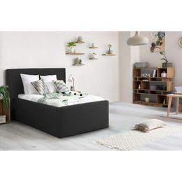 Home Affaire Polsterbett &raquo;Dalina&laquo; geradliniges Kopfteil, in 5 Breiten, auch in 220cm L&auml;nge grau Struktur (100% Polyester) Liegefl&auml;che L&auml;nge B: 200cm x